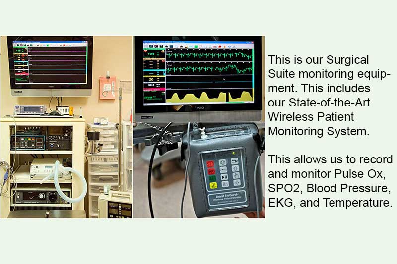 Step by Step Surgery | Animal and Bird Medical Center of Palm Harbor